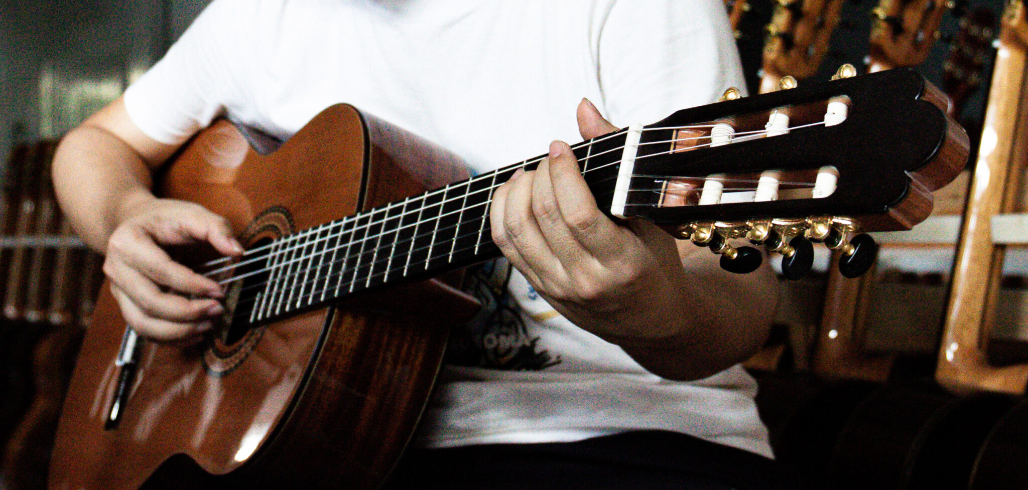 Guitarras El Toro - Guitarras El Toro